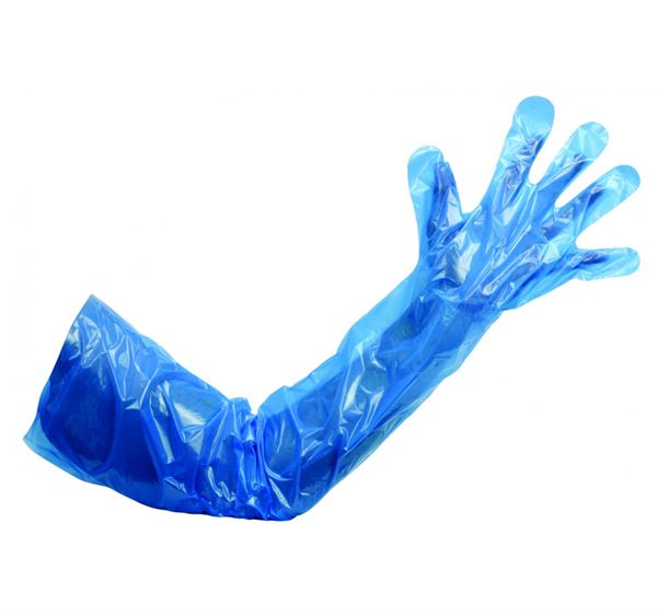 Premier Poly Gauntlet Blue - Pack of 50 - Mediworld Ltd